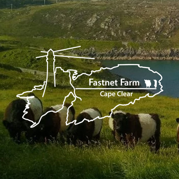 Fastnet Farm | Cape Clear Lavender