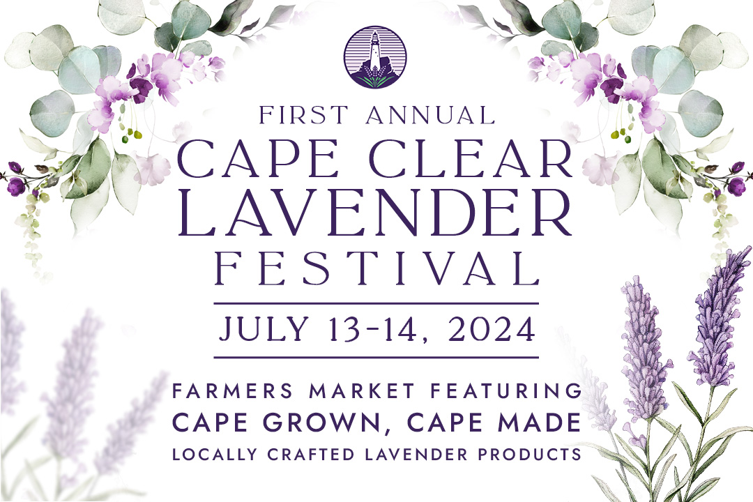 The Inaugural Cape Clear Lavender Festival | Cape Clear Lavender