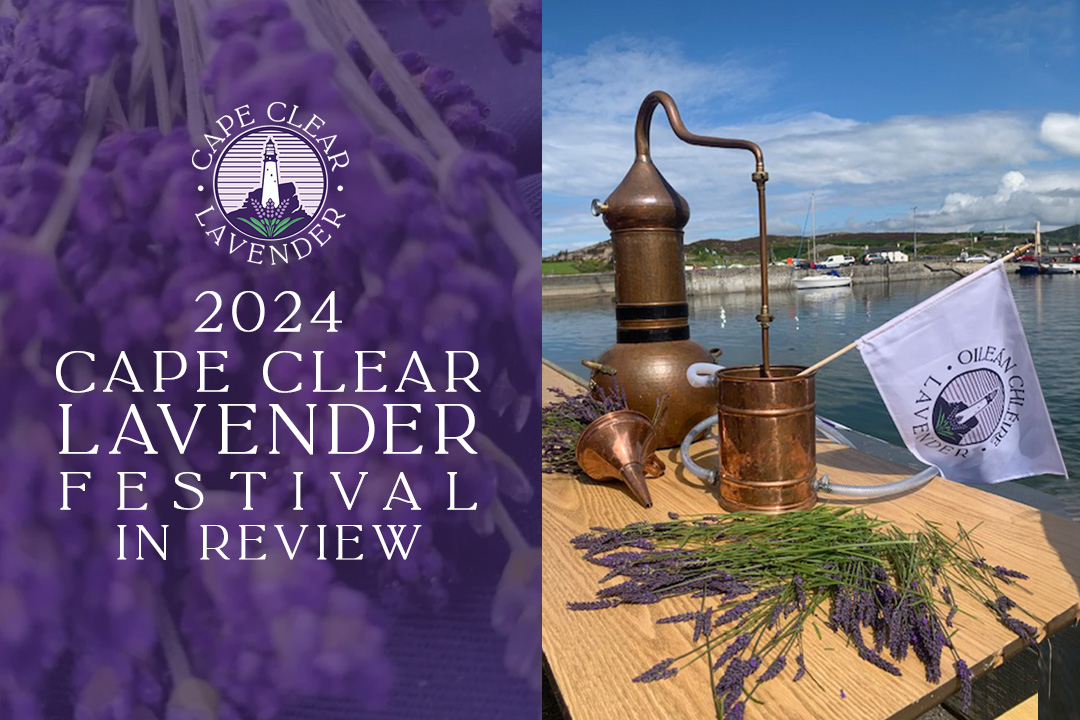 Lavender Festival 2024: The End of the Beginning and the Start of the ...